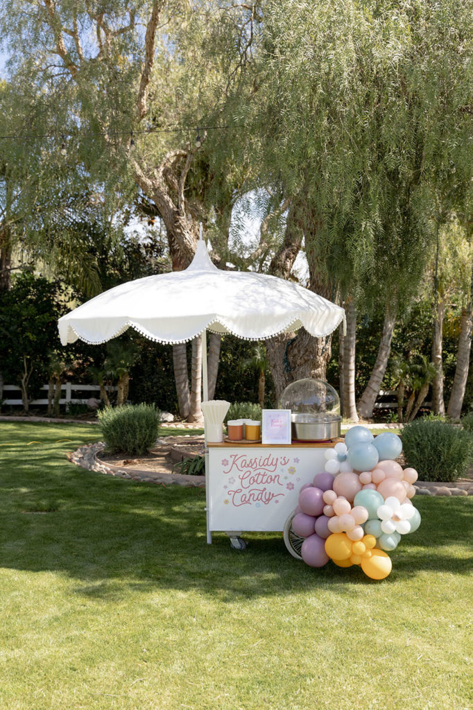 Girl Birthday Party Ideas for Spring - Pastel Girl's Party